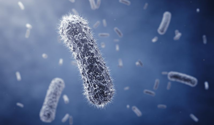 Breast Abscess – Breast360.org | The American Society of Breast ...